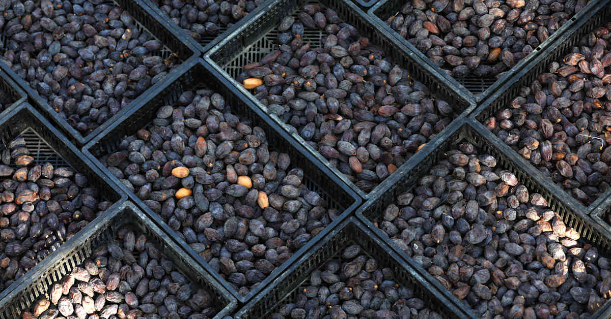 Tullen har hittat för stora mängder rester av bekämpningsmedel i flera ...