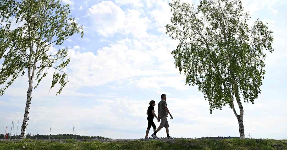 Finnish summer set to begin with rain, thunderstorms | Yle News | Yle