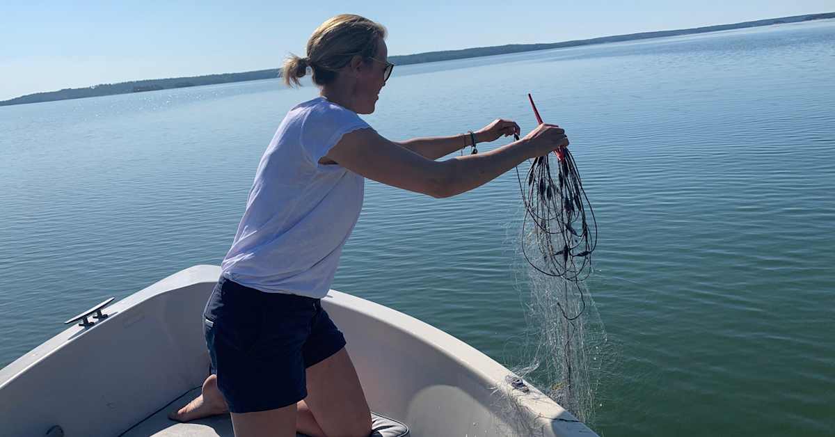 Matentusiasten och kokboksförfattaren Louise Mérus utmanades att fiska ...
