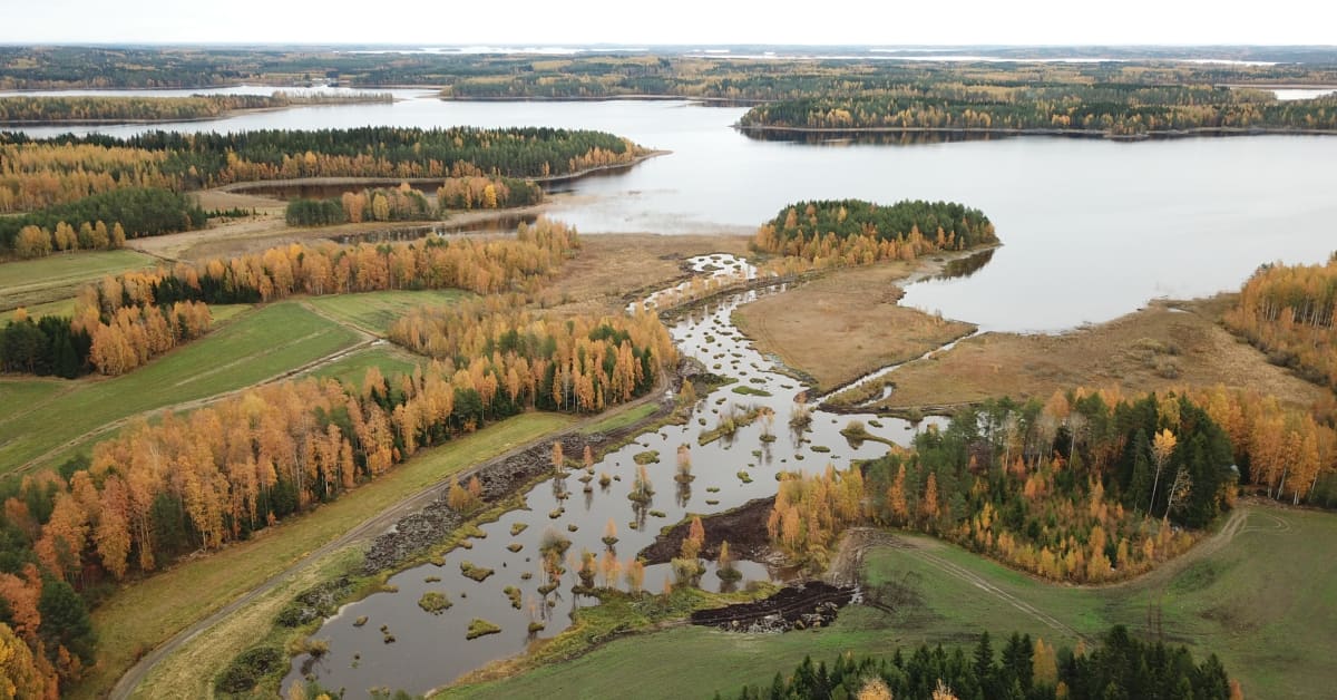 Keski-Karjalan kuntien elinkeinoelämän kehittäminen uusiin käsiin ...