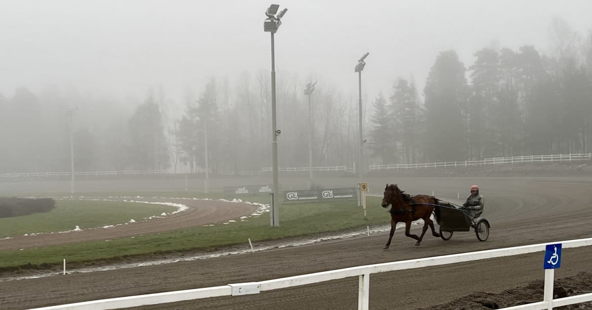 Tulevien Kuninkuusravien järjestäjiä valittu: 2026 vuorossa ...