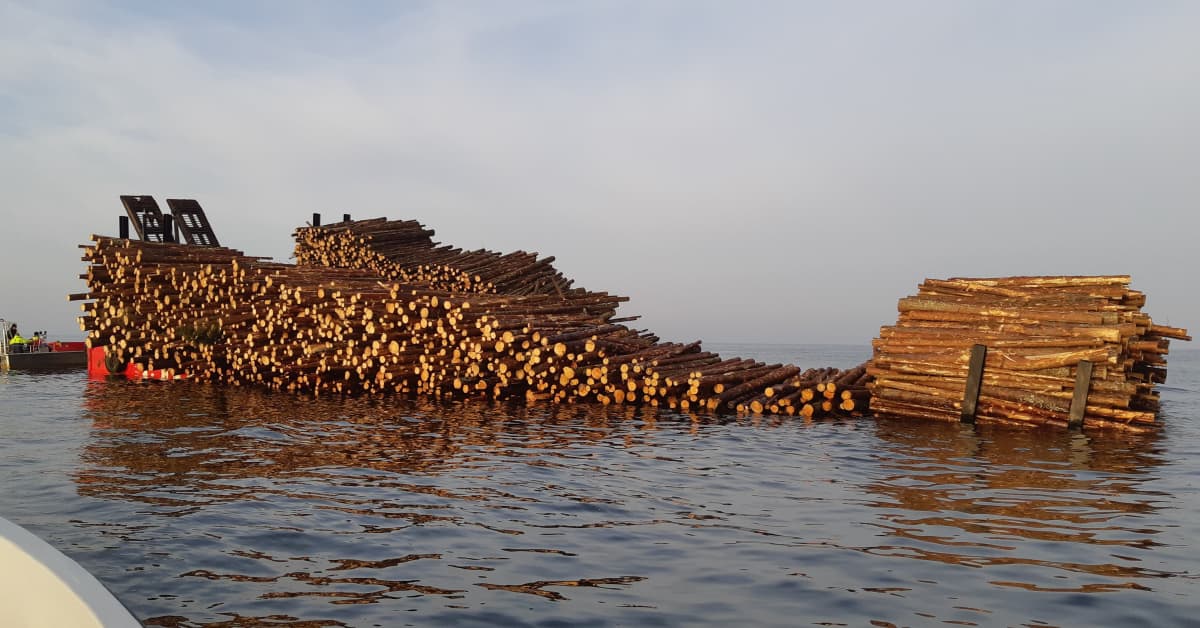 Puutavaralastissa ollut proomu hinataan Alholman satamaan ennen tuulen ...