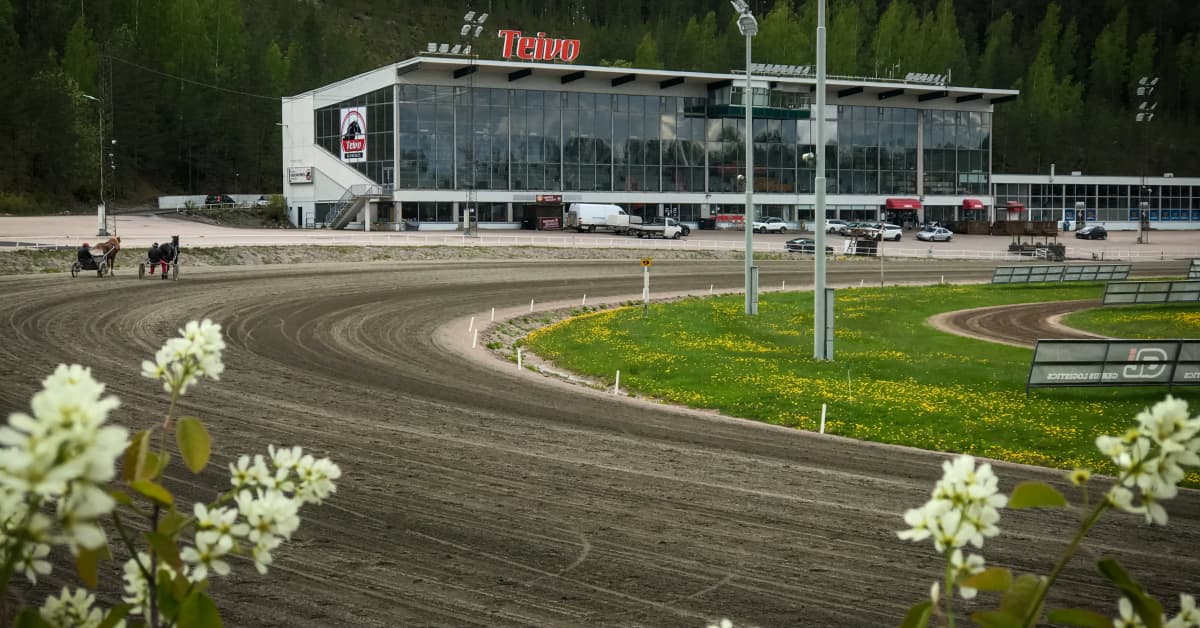 Luonnonsuojeluliitto: Teivon raviradan pitäminen nykyisellä paikalla ...