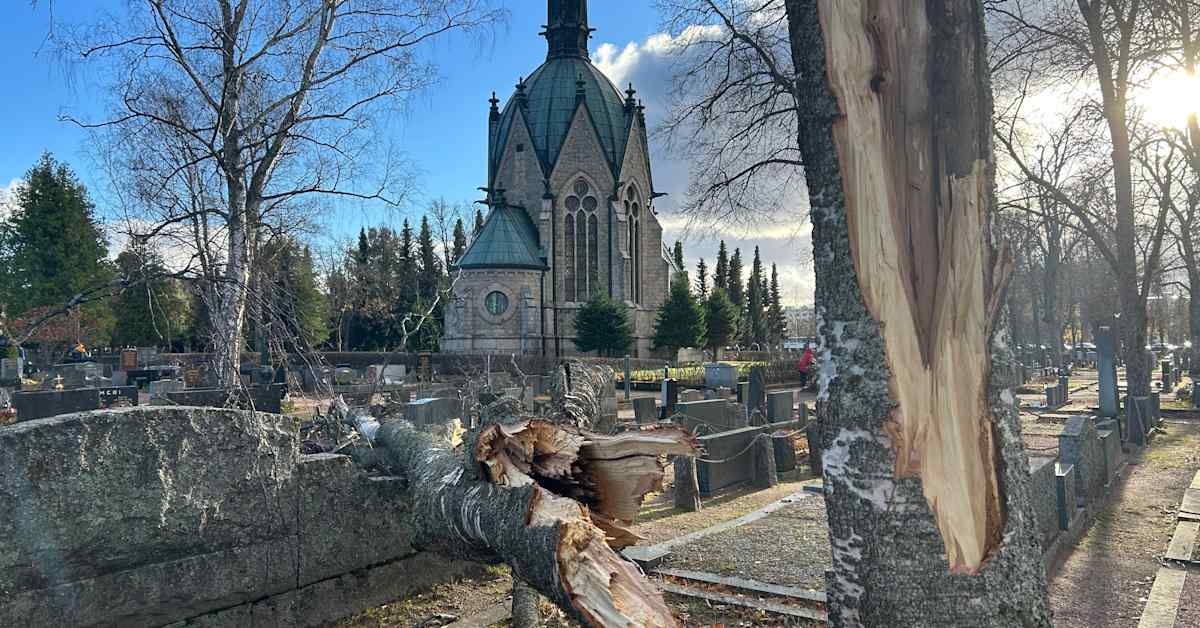 Kuvat näyttävät Lyly-myrskyn tuhot: tuulenpuuskat repivät peltikattoja ...