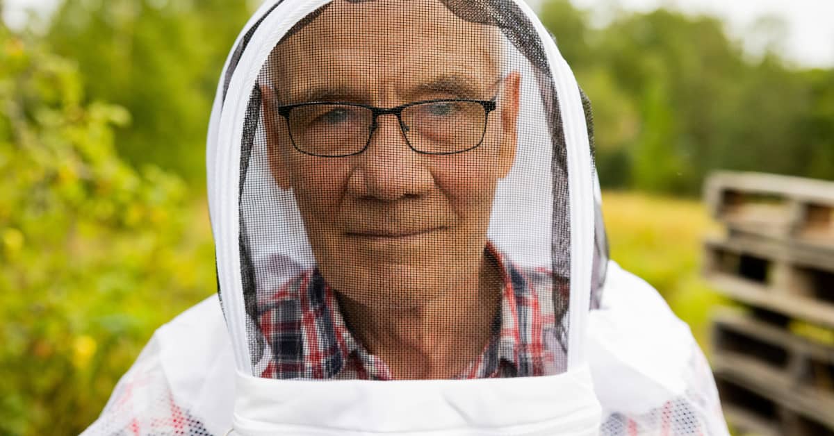 Yhden miehen idea kaupunkimehiläisistä teki Akaasta Suomen ...