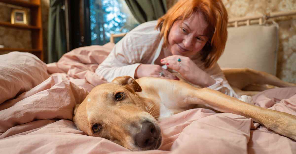 Pyllypöpöjä vai paremmat yöunet? Näitä hyötyjä ja riskejä on koiran ...