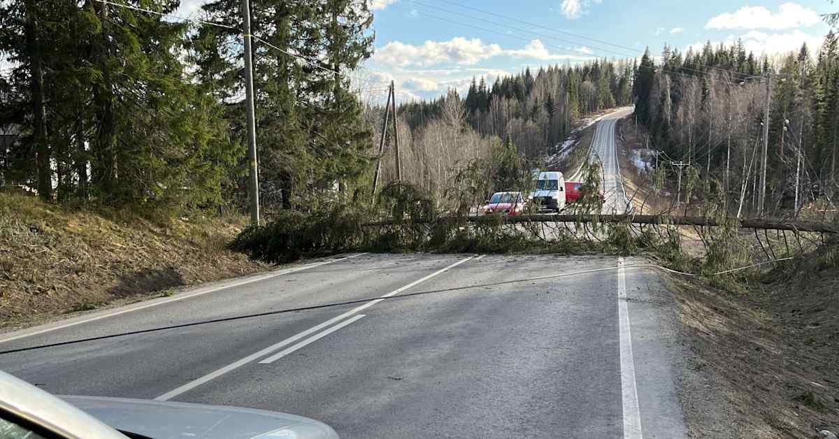 Kova ja puuskainen tuuli piiskaa Keski-Suomea – puu kaatui auton päälle ...