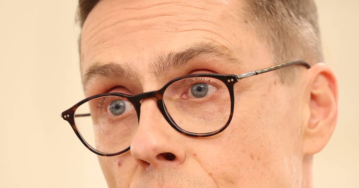 Presidentti Stubb paljasti: kissat Milo ja Nala muuttavat perheen ...