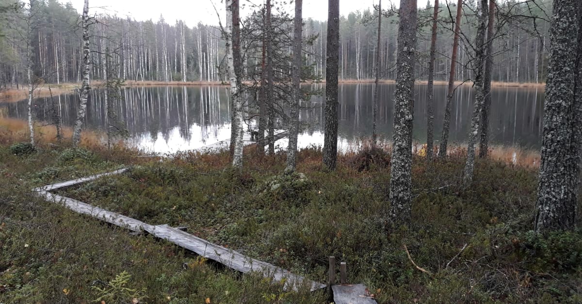 Viitasaari lähdössä kisaamaan valtakunnallisesta erämuseosta | Yle