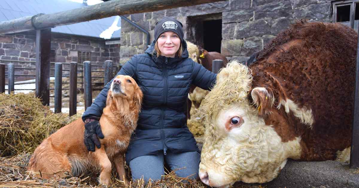 På Rilax gård är de oroliga att extremväder är det nya normala: ”Kan ...