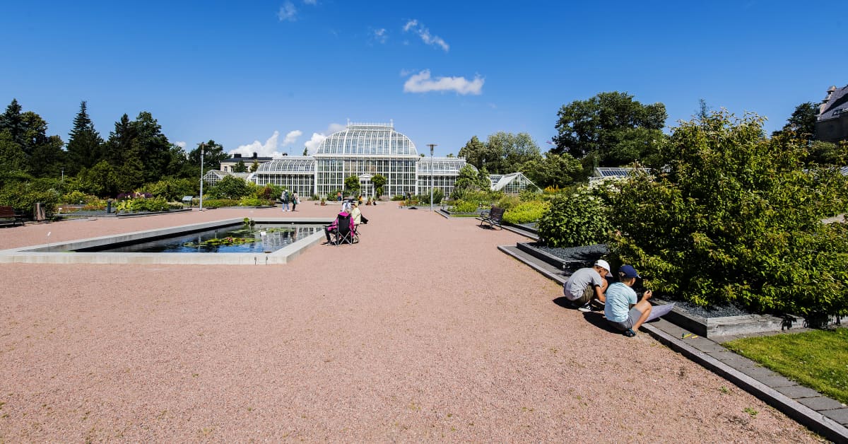 Helsinki records warmest-ever September in 2023 | Yle News | Yle