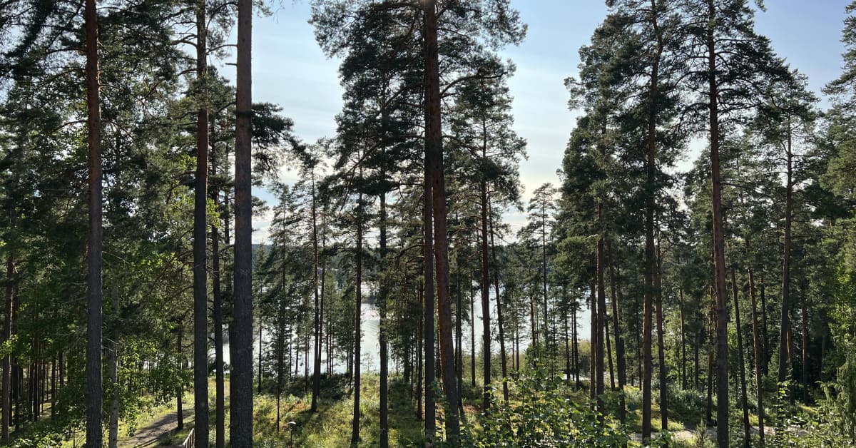 Finland sees warmest September on record | Yle News | Yle