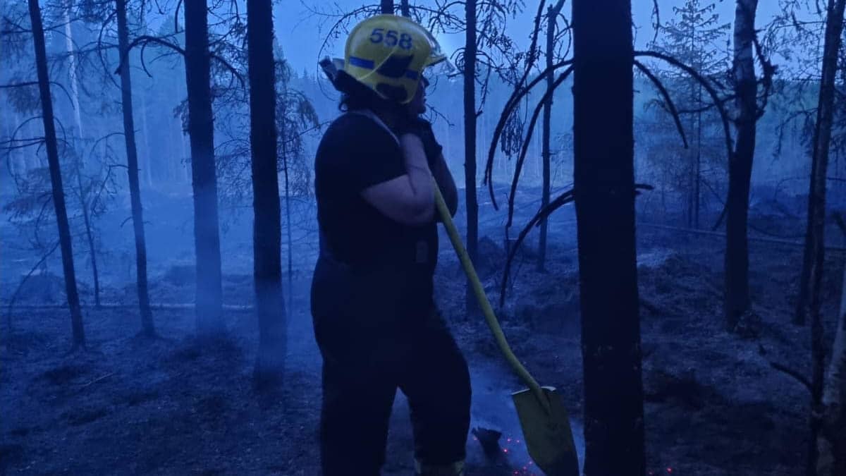 All it takes is one spark - high risk of forest fires throughout ...