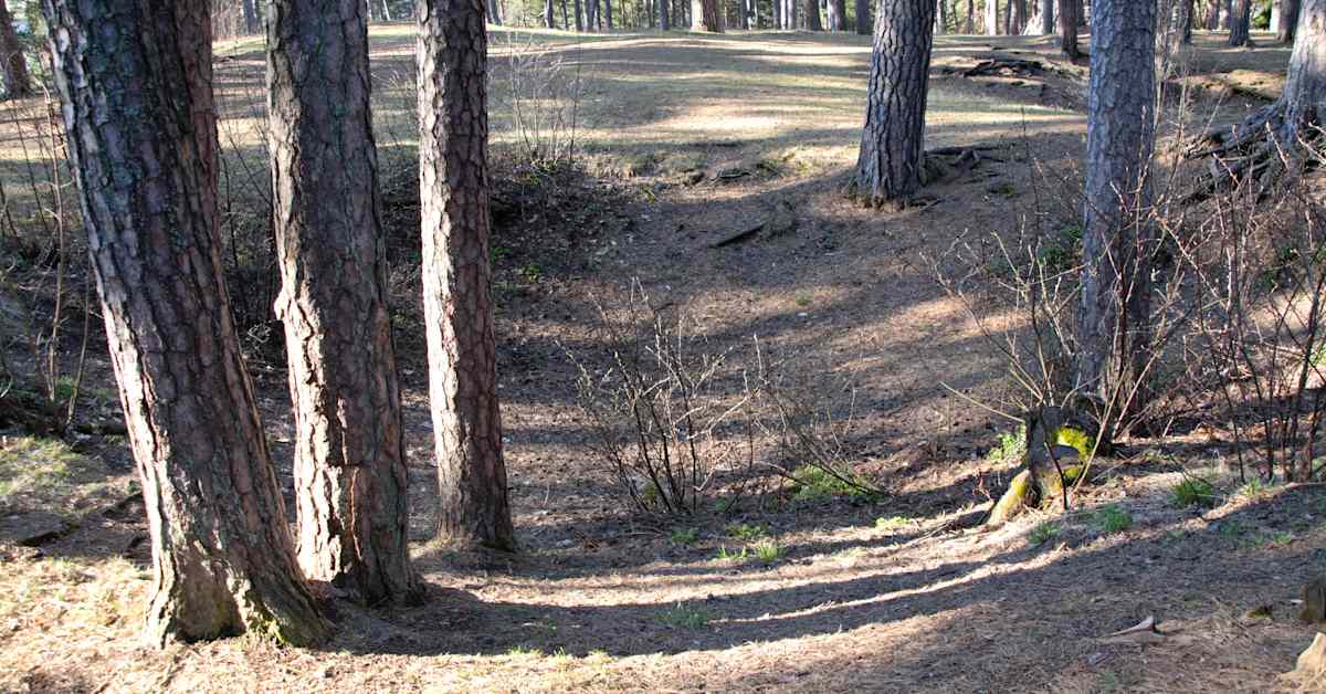 Nya utgrävningar på Borgbacken i Borgå i sommar – forskare söker svar ...