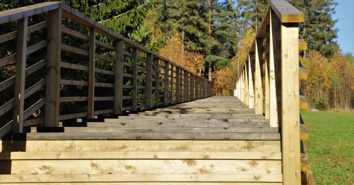 Raseborgspolitiker vill ha motionstrappor och bättre skidspår | Västnyland | Svenska Yle