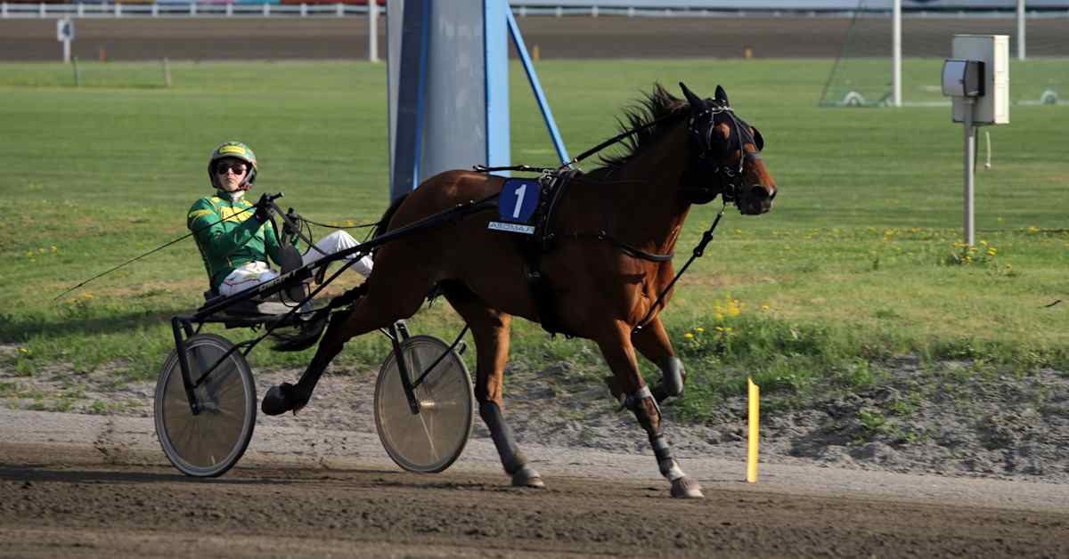 Varsat, kilpailevat hevoset ja harrastajat vähenevät – raviurheilu ...