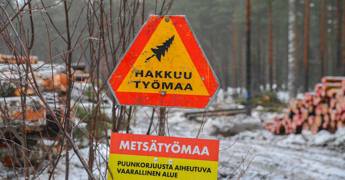 Kandidaterna i Vasa valkrets säger ja till kärnkraft och ...