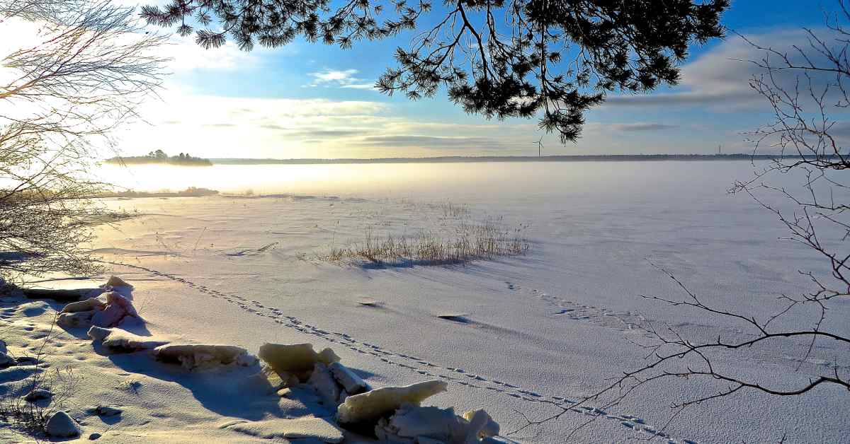 En vintersöndag i bilder | Österbotten | Svenska Yle