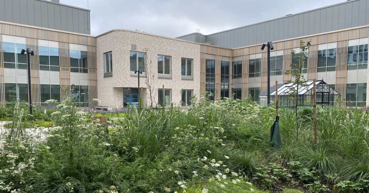 TAYSin aikuispsykiatrian osasto sai hyvän rakentamisen palkinnon, Näsin ...