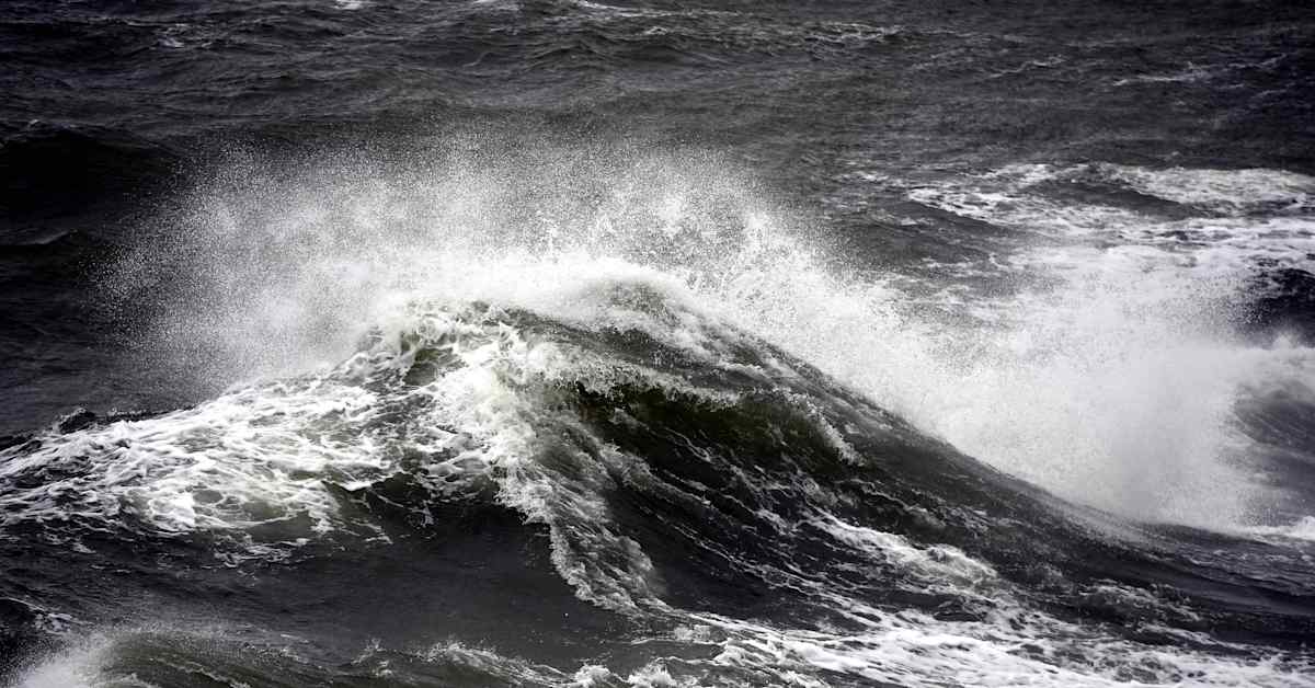 Thousands lose power as Storm Hannes sweeps into Finland | Yle News | Yle
