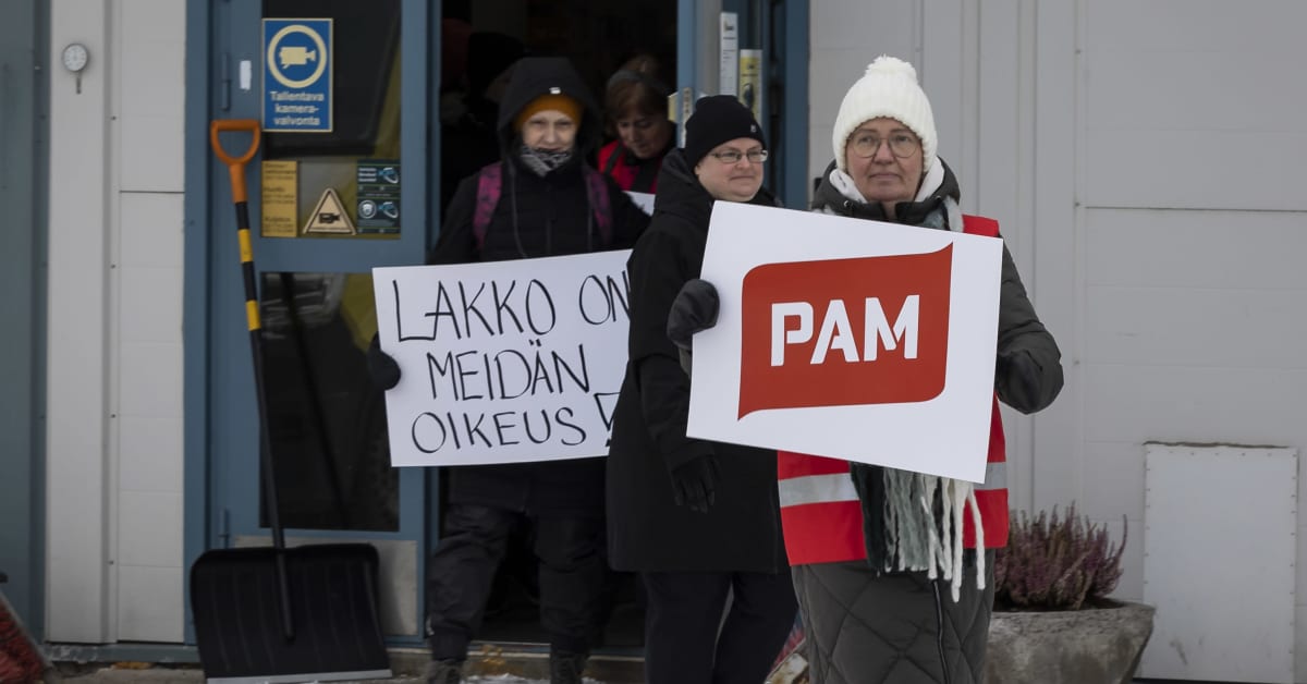 PAMin lakot laajenivat Etelä-Savoon | Etelä-Savo | Yle