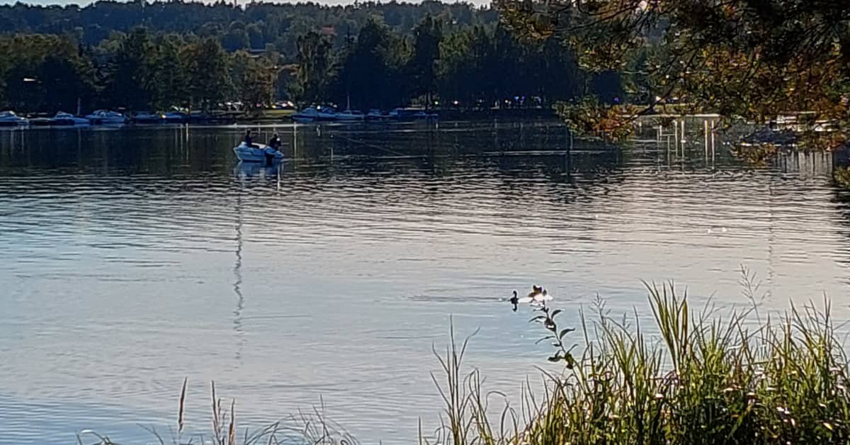 Uinduviet ruttoh vilustutah sygyzyn edehpäi eistyjes | Yle