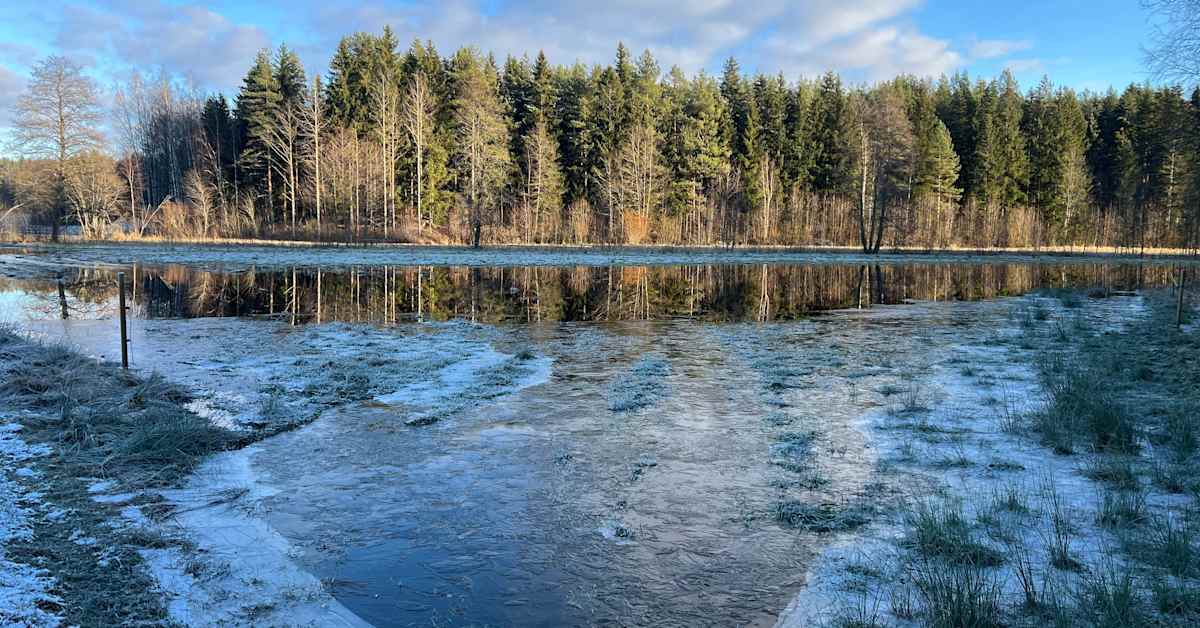 Poikkeuksellinen rankkasade upotti Reiska Järvenkylän pellon yhdessä ...
