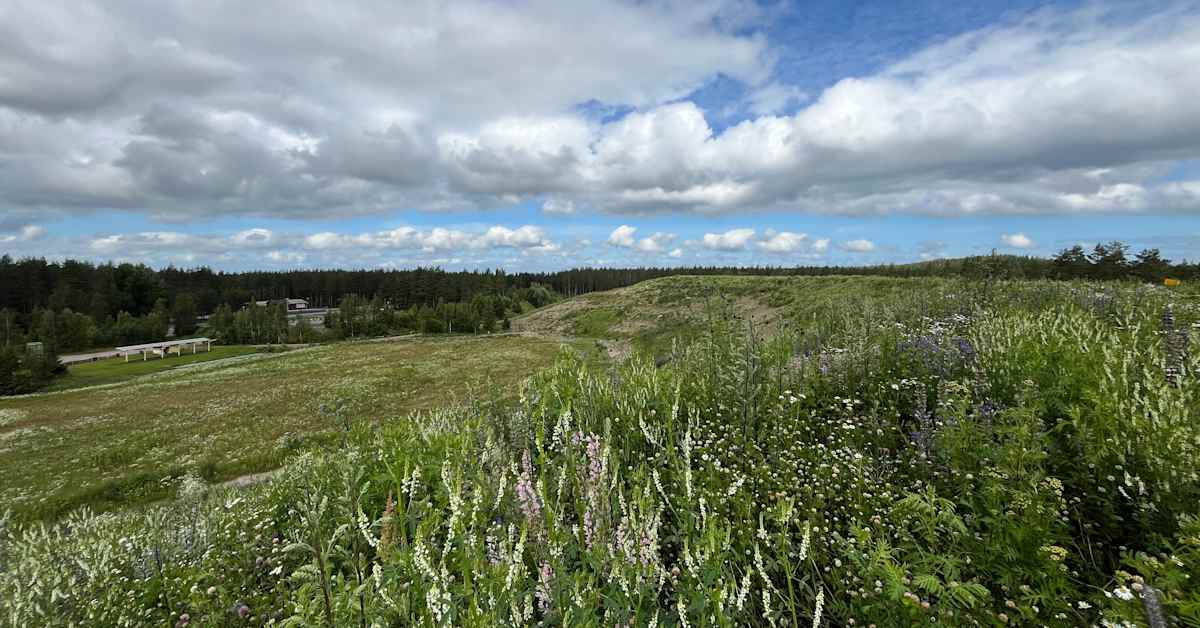 Ampumaseuran on pakko rakentaa massiivinen meluvalli – pätkä puuttuu ...