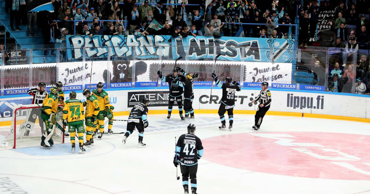 Miten Pelicansista tuli SM-liigakauden sensaatio? Päävalmentaja pääsi ...