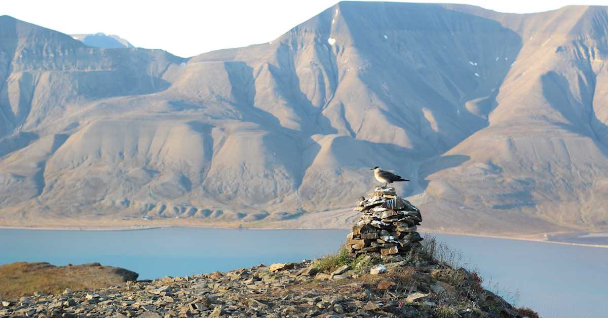 "Antibiotikaresistens större hot mot mänskligheten än klimatet" - gener ...