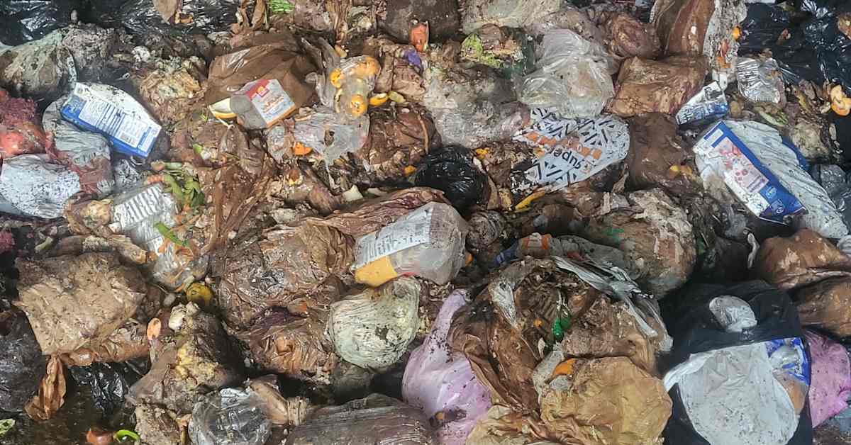 Papperspåse för bioavfall väcker missnöje i Jakobstadsområdet ...