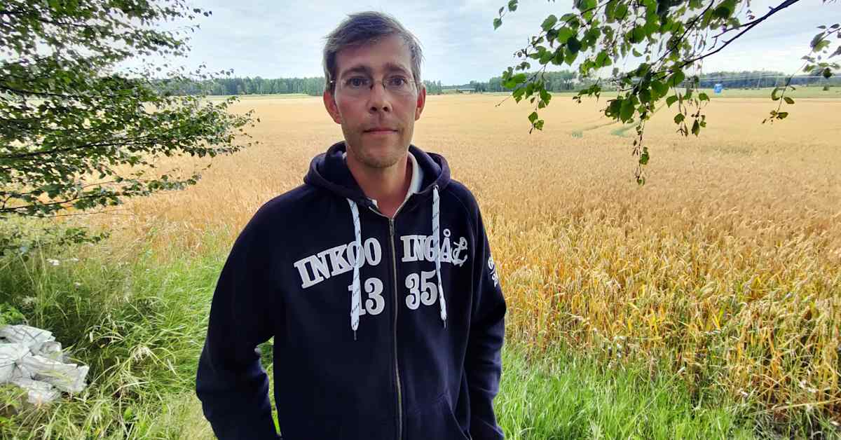 En okej men ojämn skörd är att vänta - Ingåbonde förutspår att ...