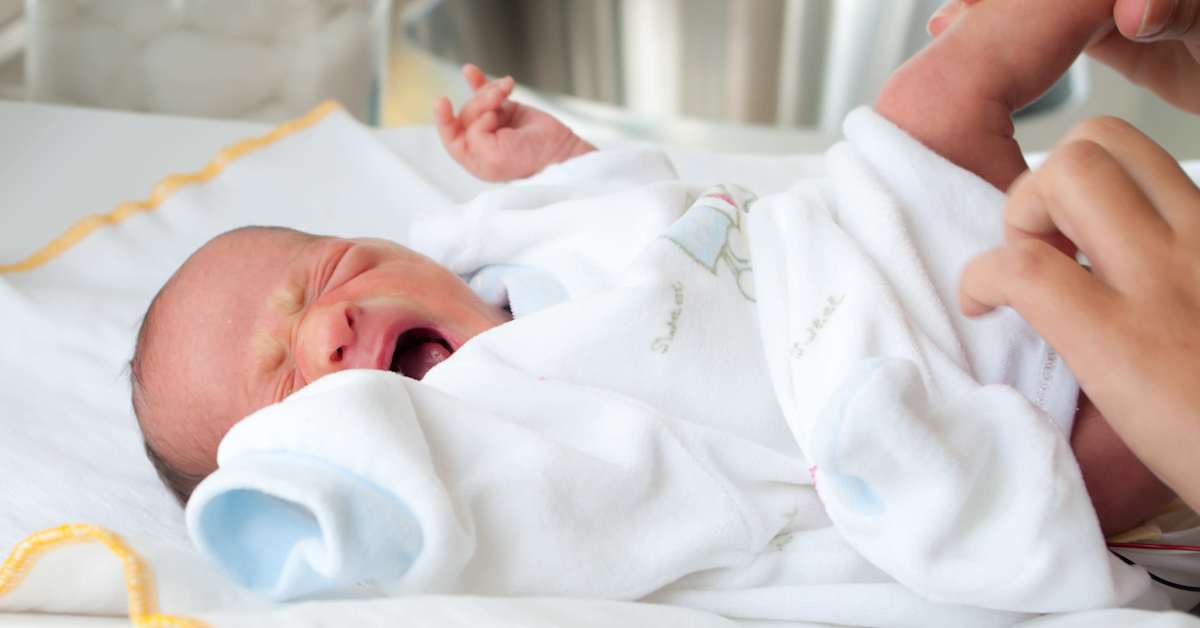 SVT: Också Sverige kämpar med sjunkande nativitet – drygt ett och ett ...