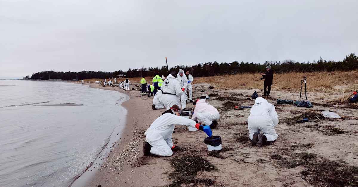 Neste not behind white clumps washed up on Hanko's shoreline, probe ...