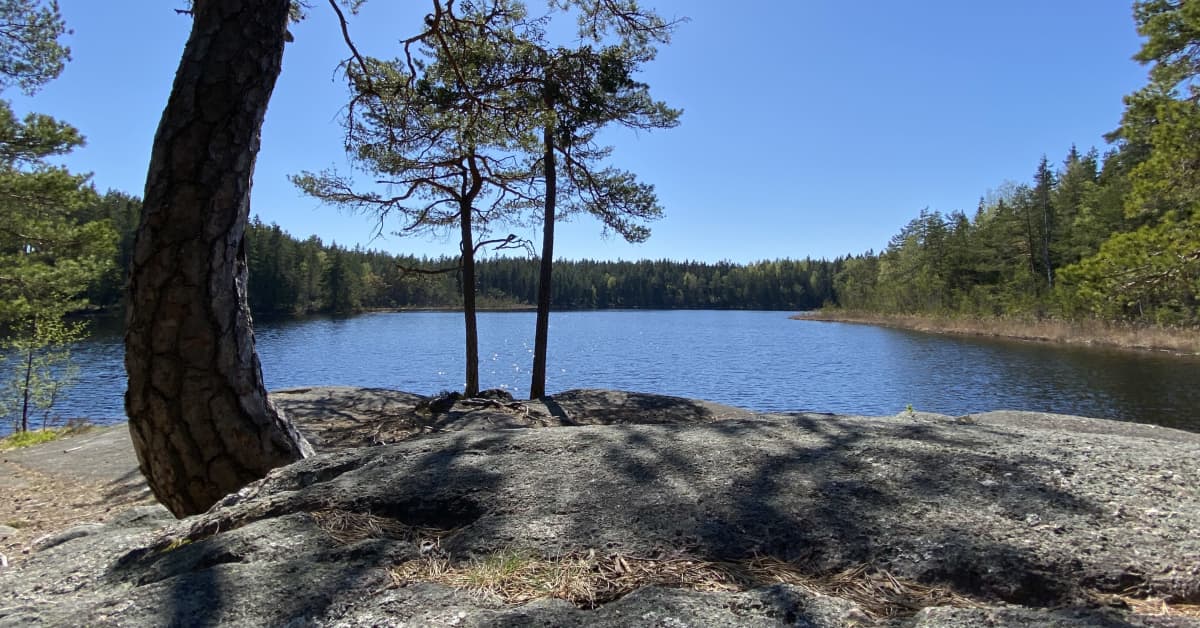 Everyman's Rights gets gender neutral overhaul, now Everyone's Rights ...