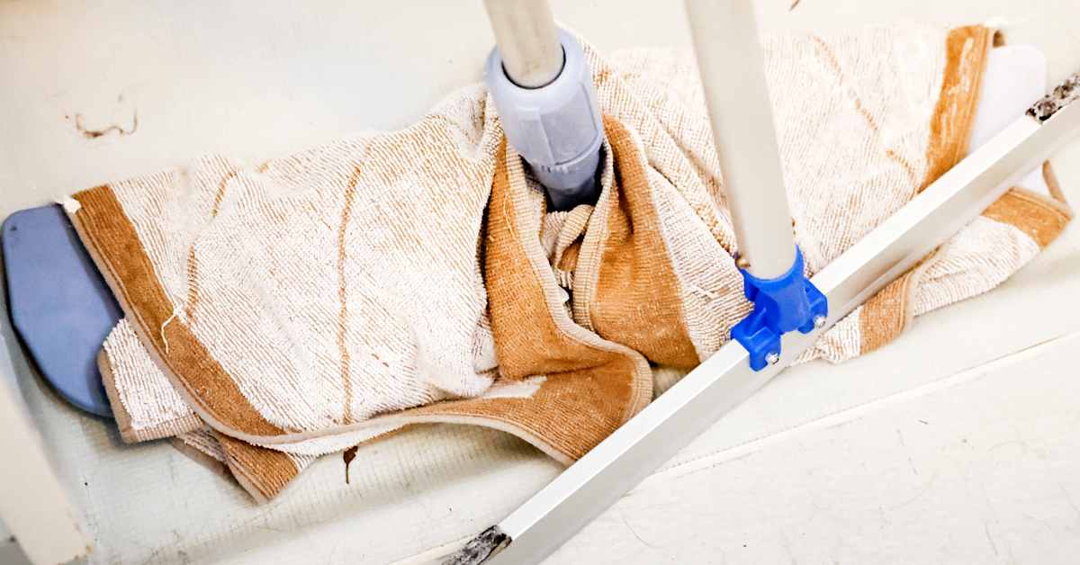 Police uncover large scale employment agency scam targeting foreign ...