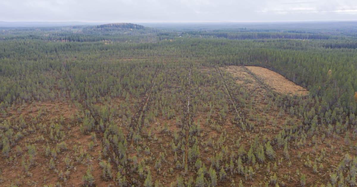 Sitra report: Finland can reach climate goals, but strong action ...