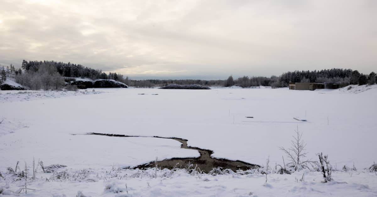 Jos Inkoon terästehdas toteutuu, sen rakentaisivat pitkälti ...