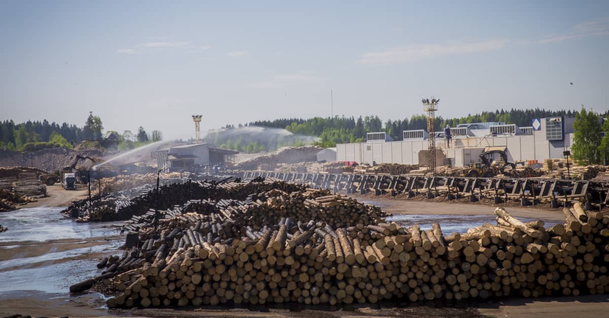 Sahat ovat vaikeuksissa ja pelkäävät jäävänsä suurteollisuuden ...