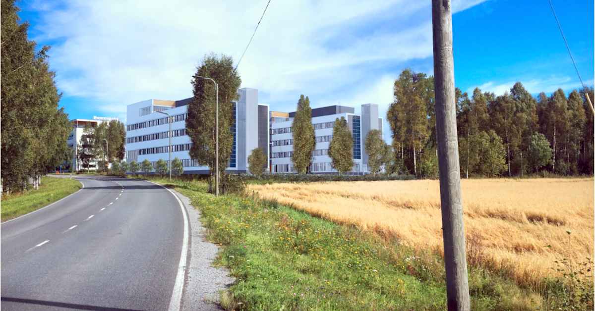 Runsor i Vasa växer | Österbotten | Svenska Yle