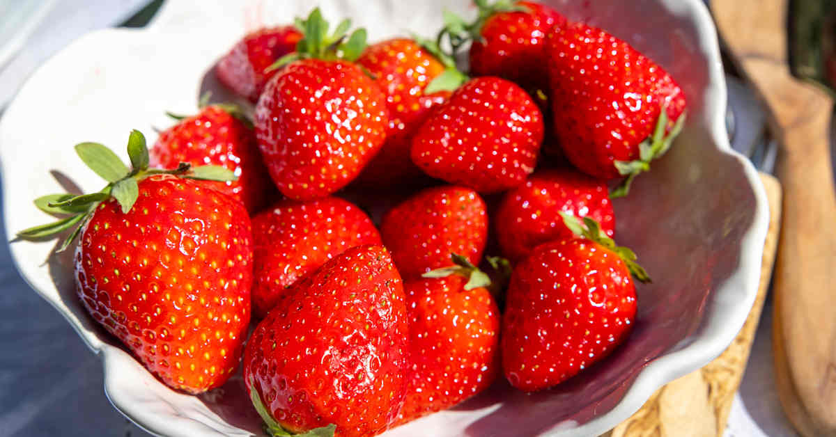 Cool weather delays summer strawberry harvest | Yle News | Yle