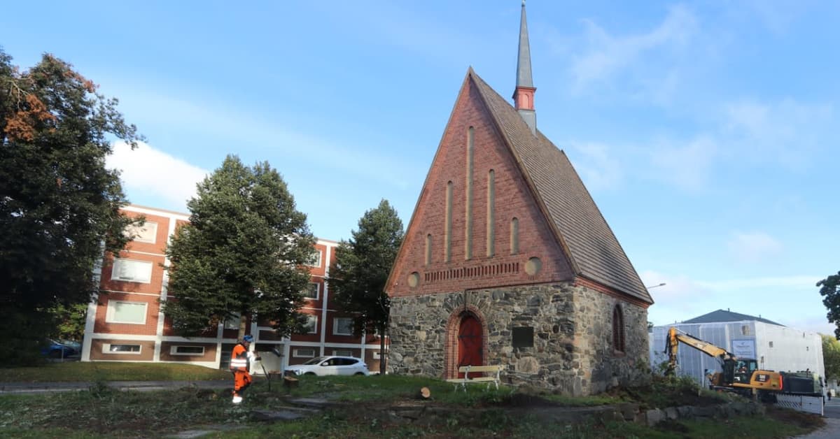 Mikkelin kaupunki kaataa huonokuntoisia puita kaduilta ja puistoista ...