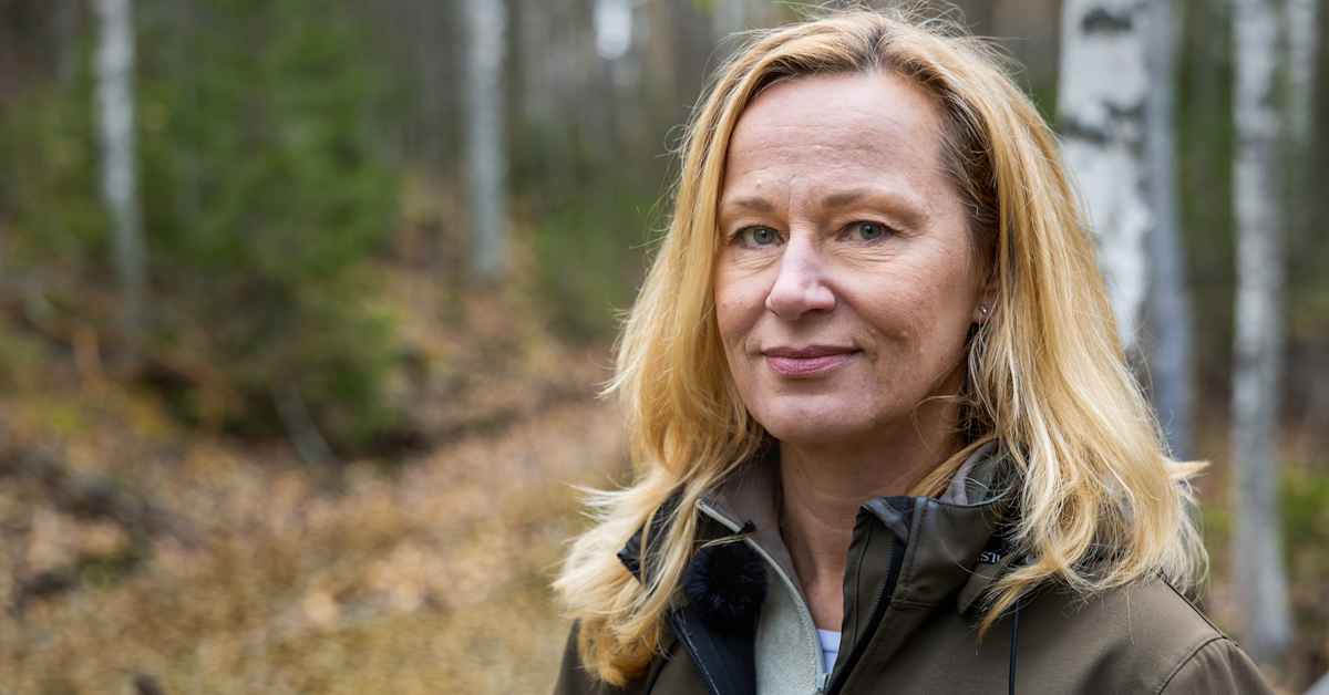 Gruvbolag ville gräva på Miisa Minks strand – nu vill hon stoppa ”gröna ...