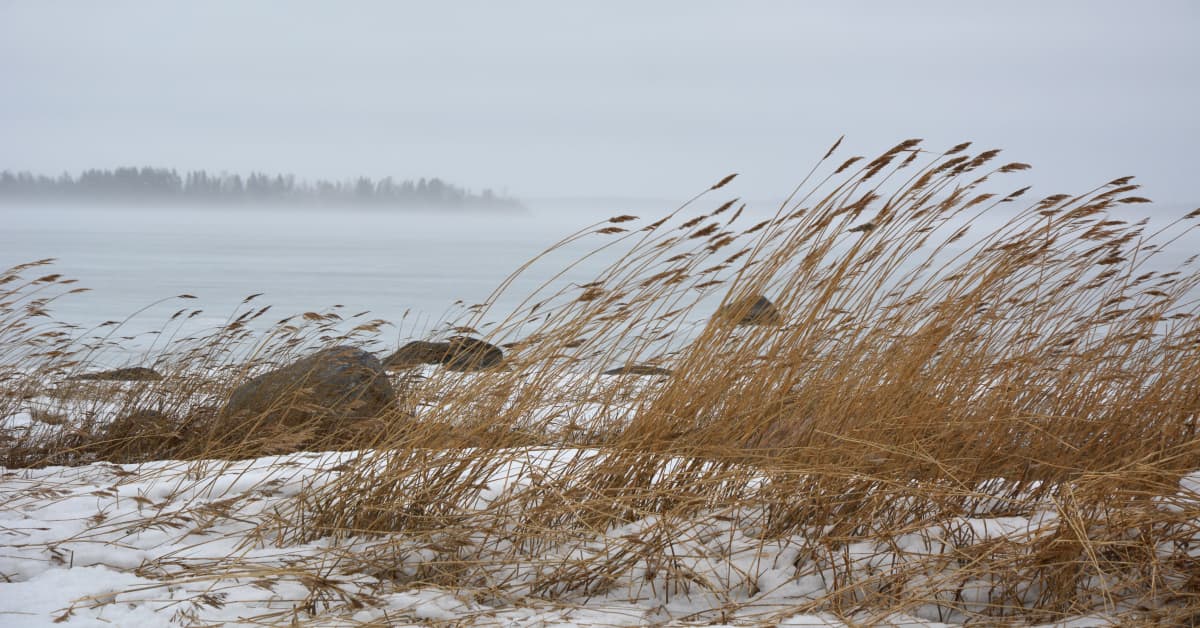 Tammikuu oli mittaushistorian kolmanneksi lämpimin Kruunupyyssä | Keski ...