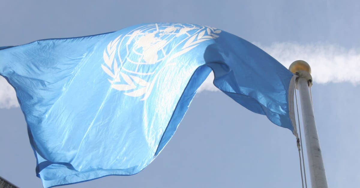 Måndag är FN-dag | Inrikes | Svenska Yle