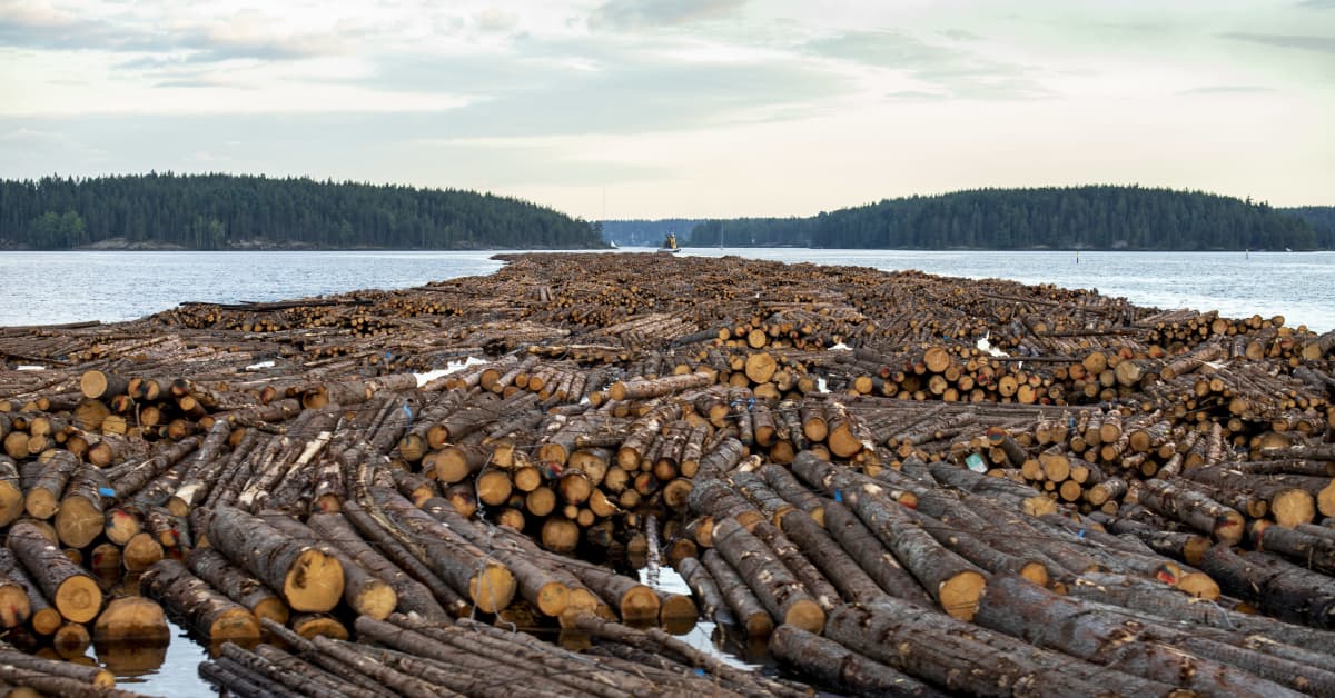 Stora Enso aloittaa puun uiton Pohjois-Savosta ja Pohjois-Karjalasta ...