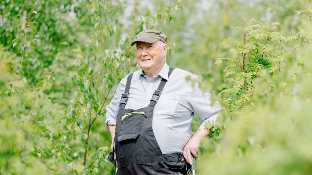 Kun kalliit tukkipuut päätyivät sellupinoon, Toivo Hyvärinen vei UPM:n oikeuteen ja voitti ...