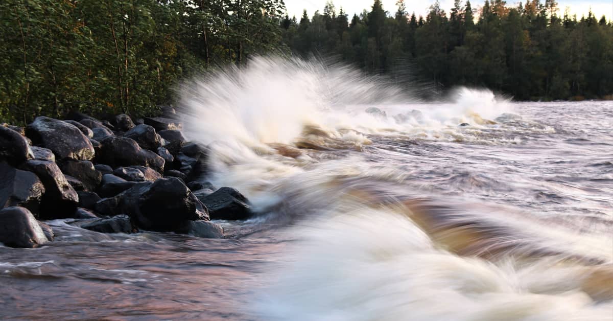 Kova tuuli on kaatanut puita sähkölinjoille ja teille – Liperin ...