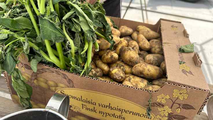 Inrikes | Svenska Yle