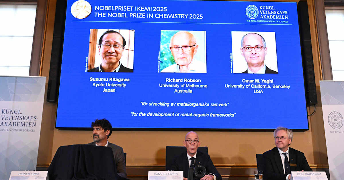 ”Tvättsvampar i molekylstorlek”: Trio får Nobelpriset i kemi för ...